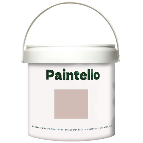 Paintello's Paint Onecoat Pink 03 Matt 4KG - Prix en Algérie | Jumia DZ